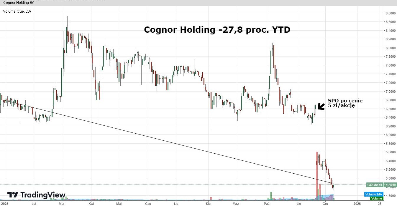 Cognor Dlaczego 2025 r. przyniósł straty i co czeka spółkę w 2026 roku?